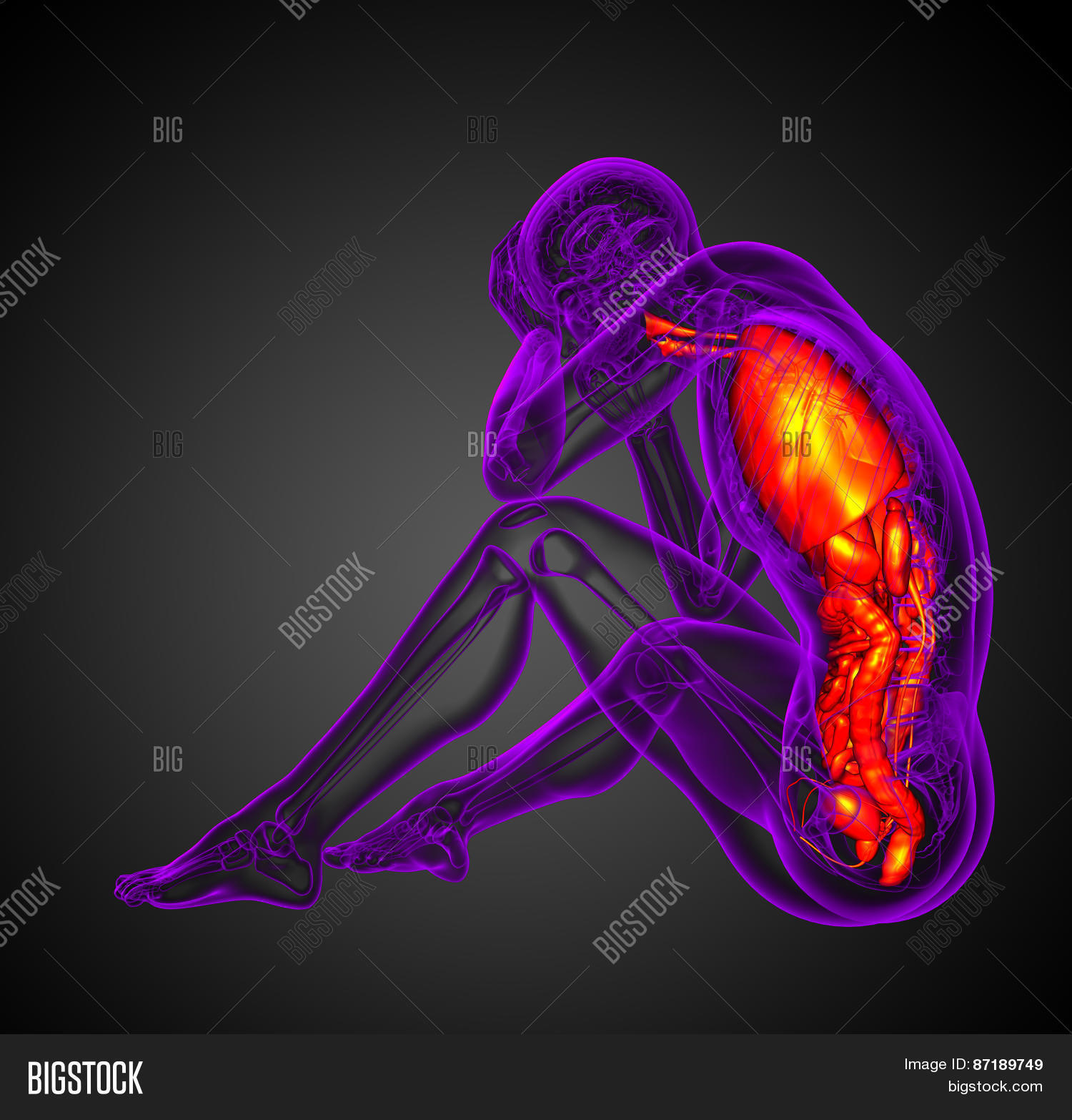 3D Render Medical Image & Photo (Free Trial) | Bigstock