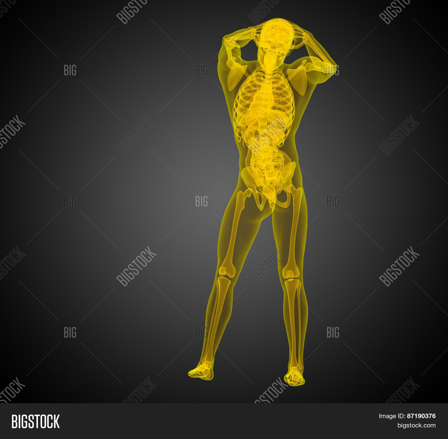 3D Render Medical Image & Photo (Free Trial) | Bigstock