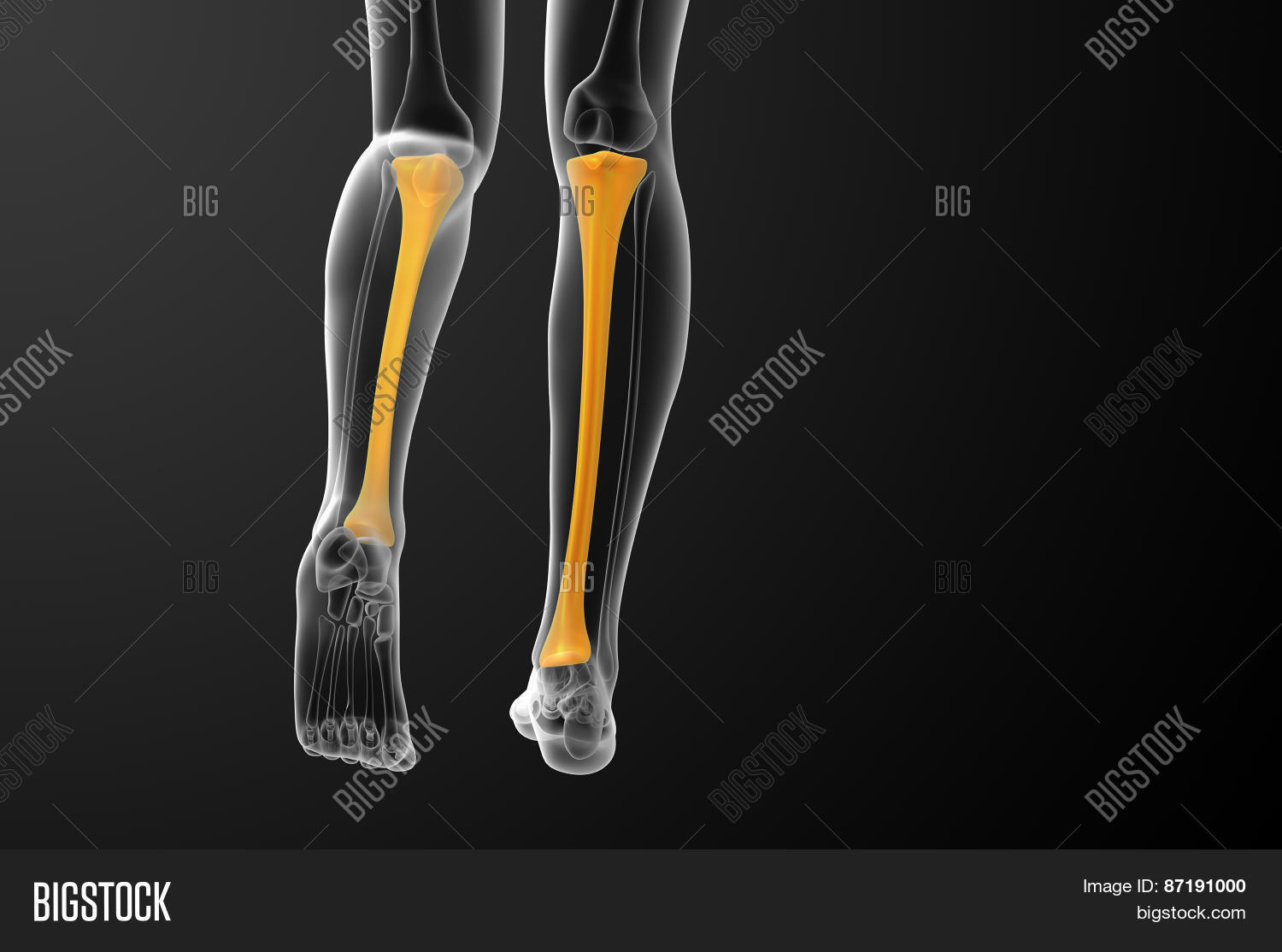 3D Render Medical Image & Photo (Free Trial) | Bigstock