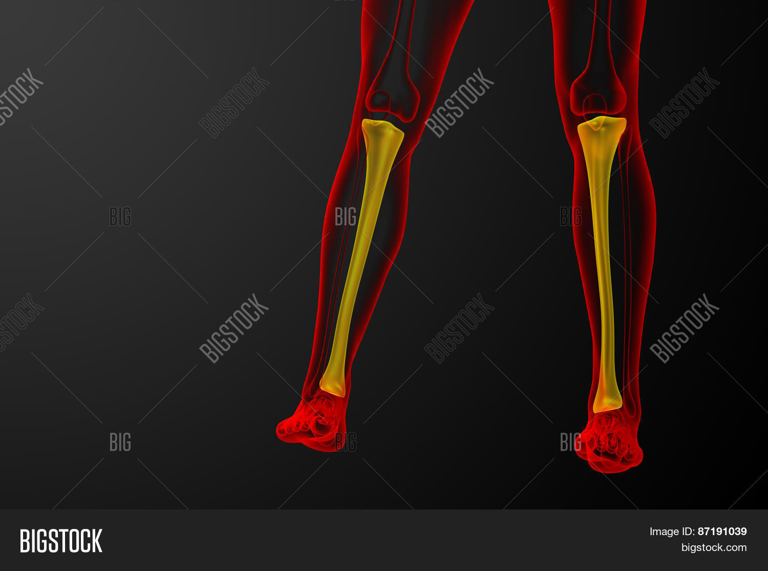 3D Render Medical Image & Photo (Free Trial) | Bigstock