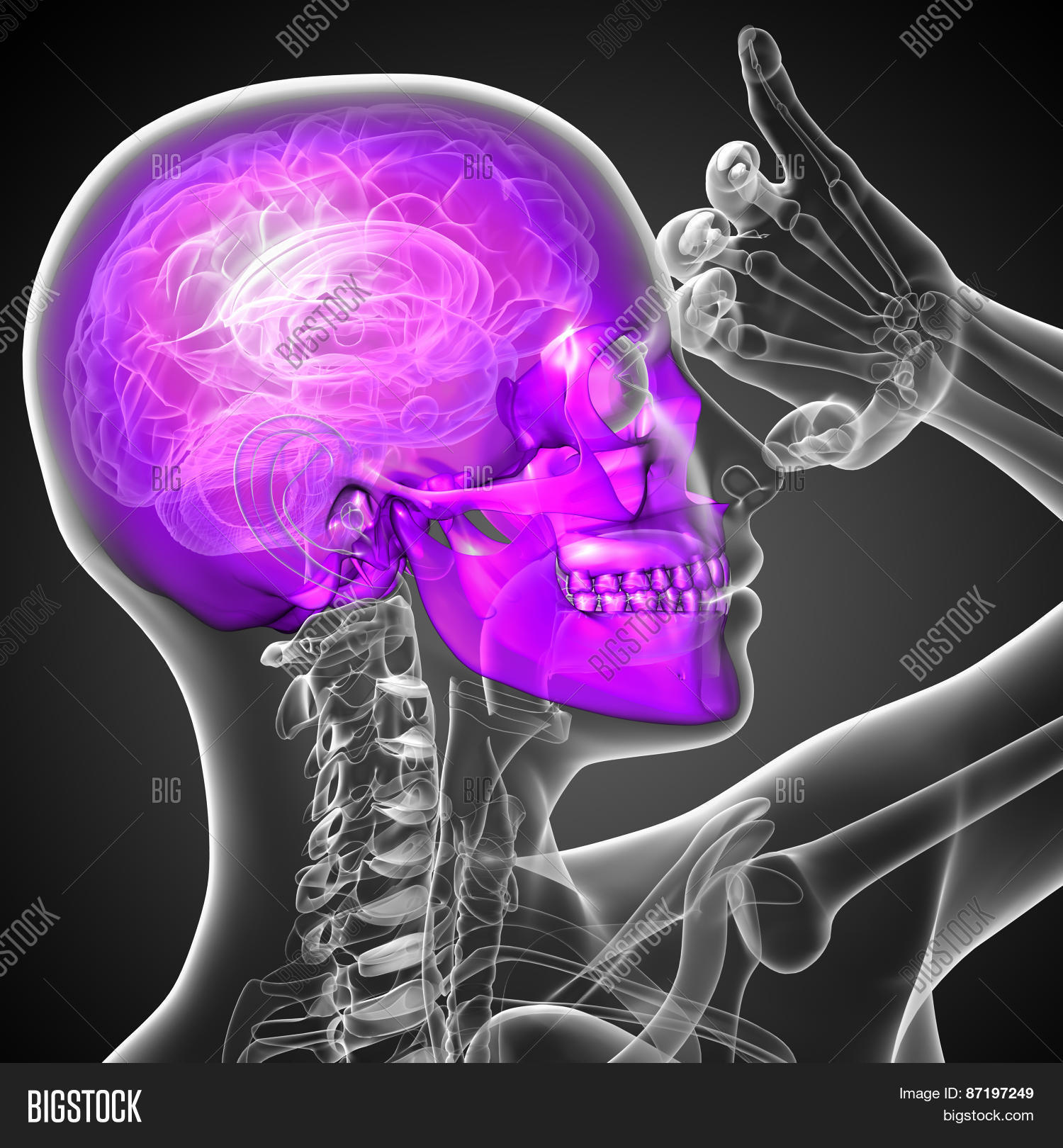 3D Render Medical Image & Photo (Free Trial) | Bigstock