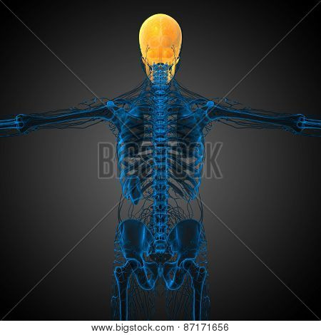 3D Render Medical Image & Photo (Free Trial) | Bigstock
