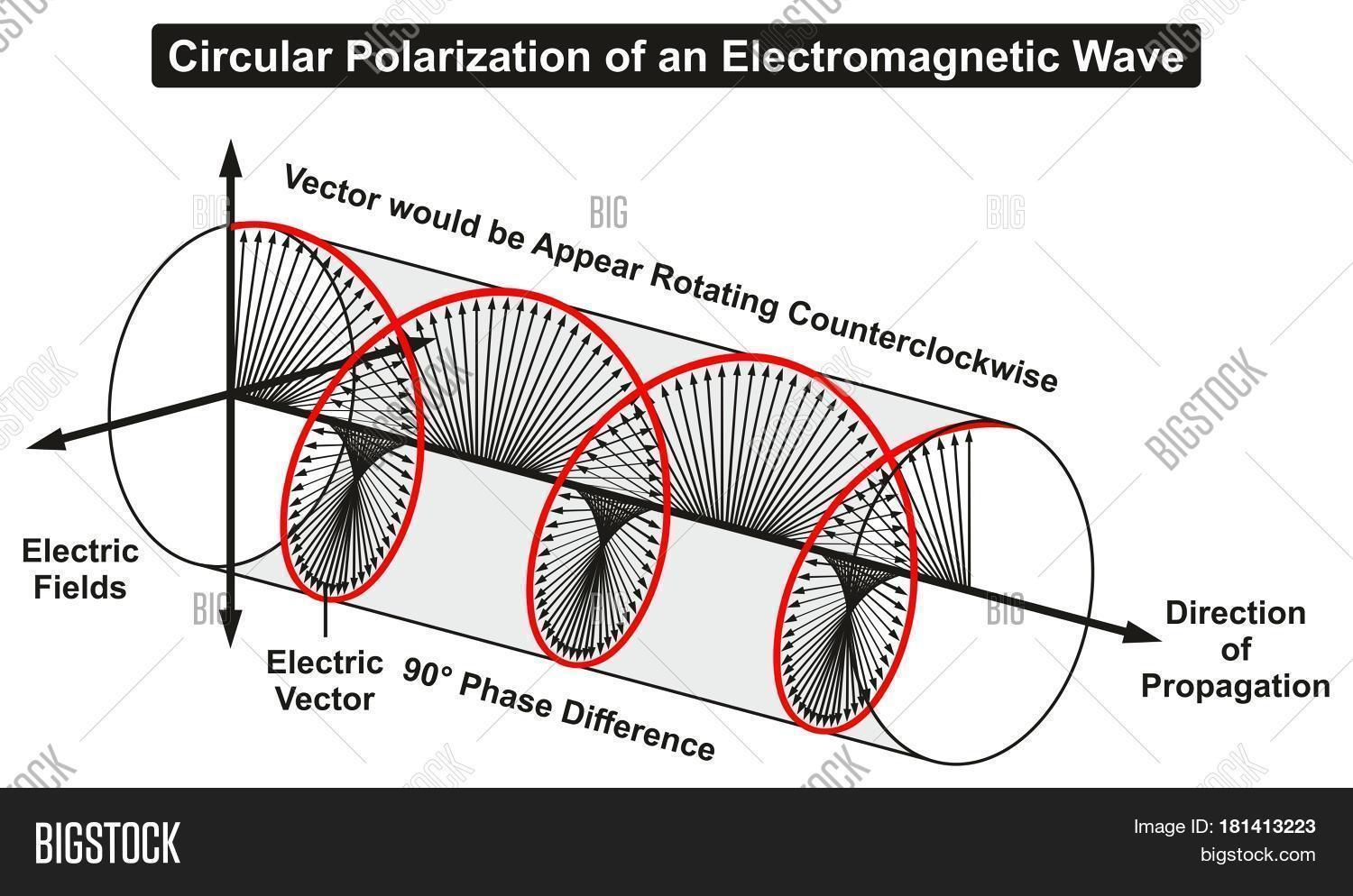 Polarization Physics