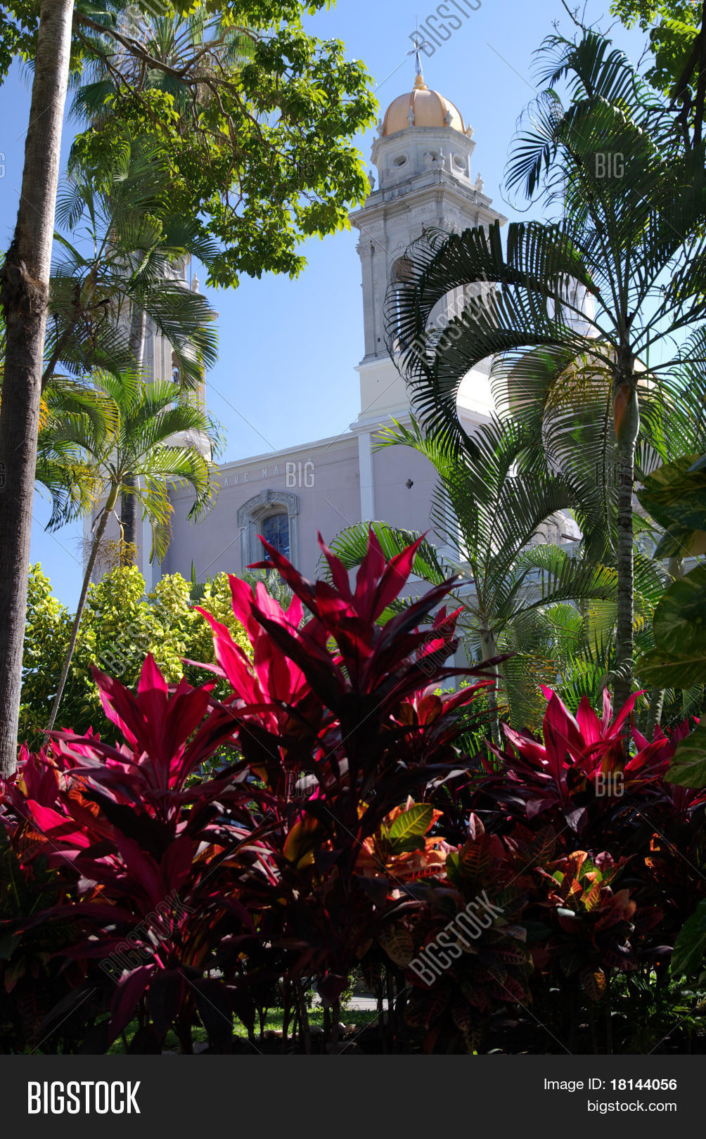 Colima Cathedral Image & Photo (Free Trial) | Bigstock