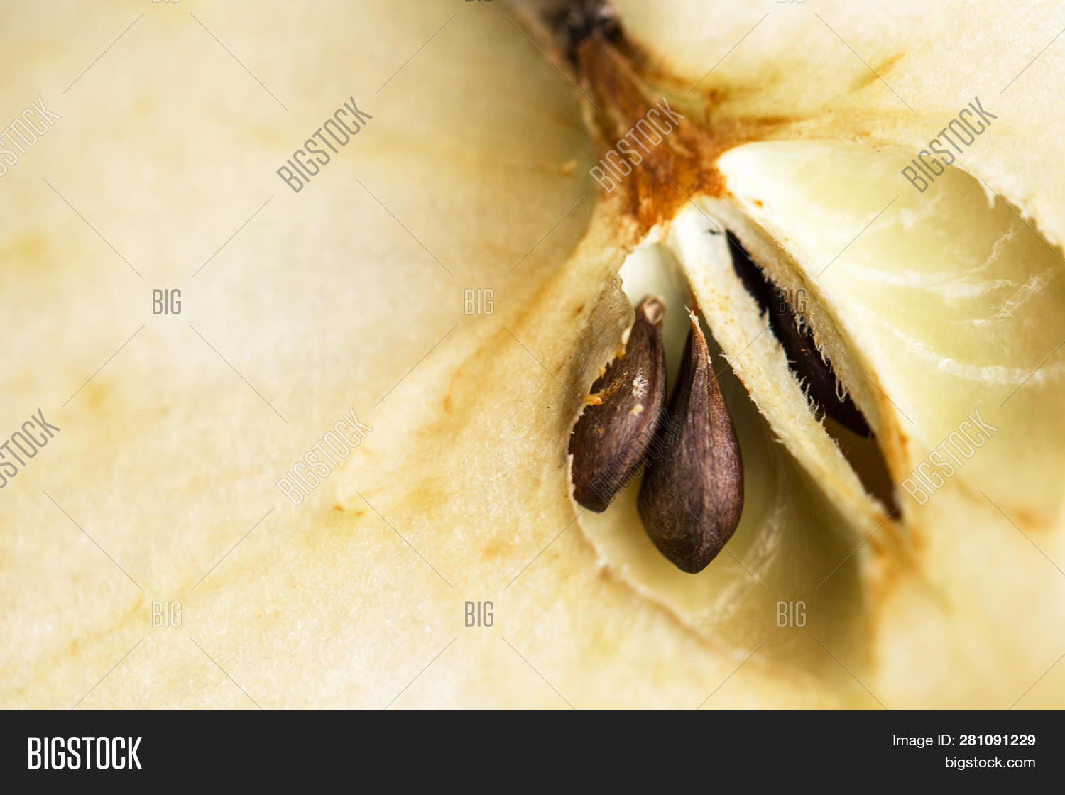 Apple Core Seeds, Image & Photo (Free Trial) | Bigstock