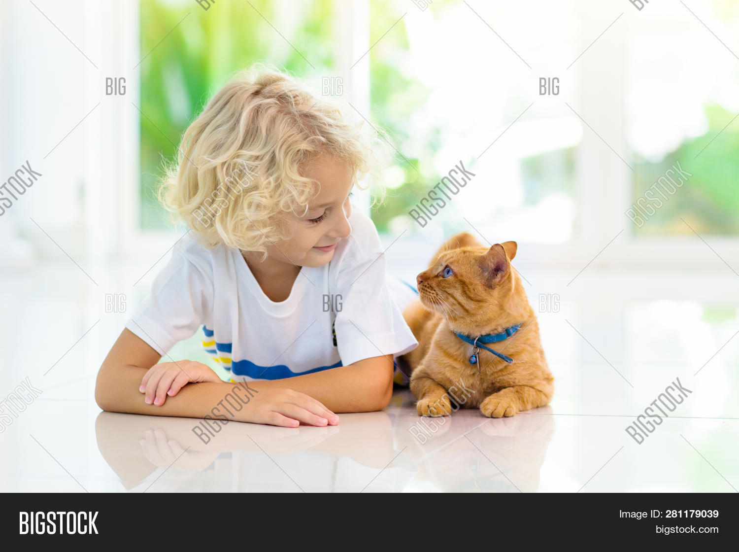 Child Feeding Home Cat Image & Photo (Free Trial) | Bigstock