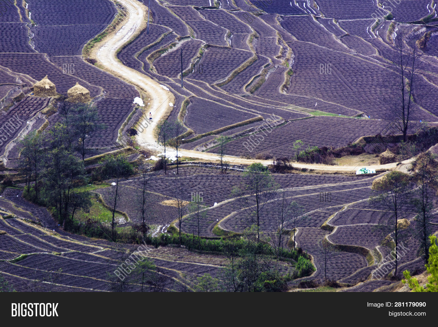Rural Farm Field Road Image & Photo (Free Trial) | Bigstock