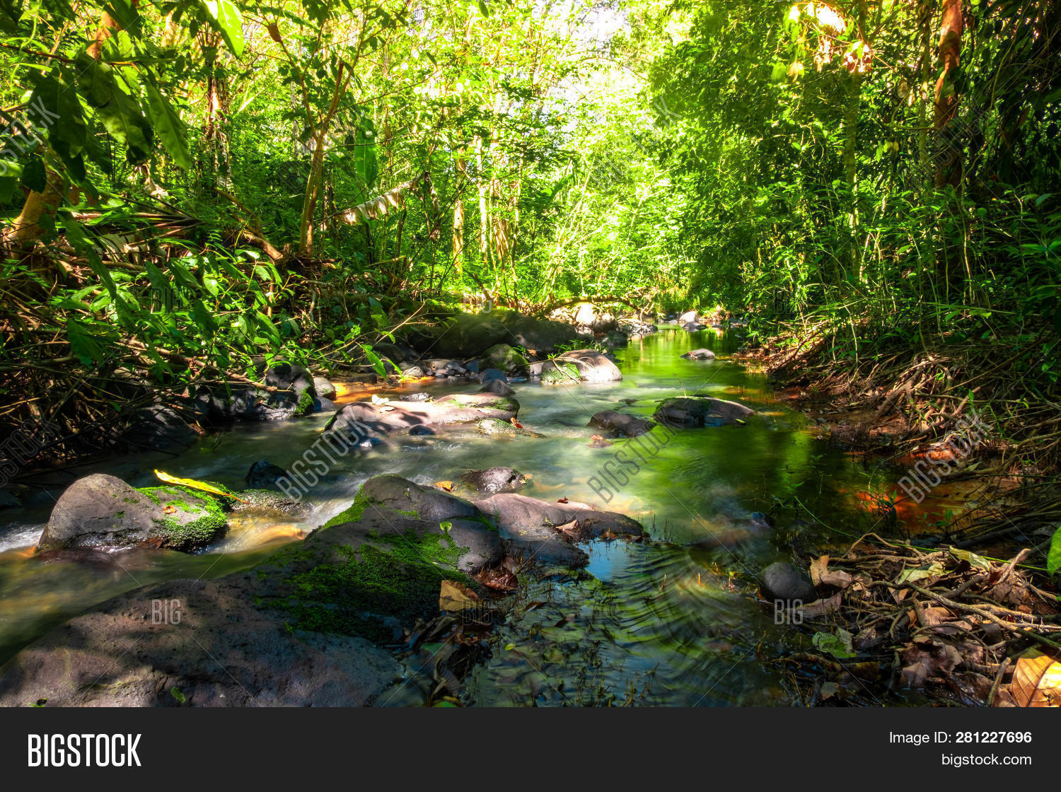 Beautiful Creek Image & Photo (Free Trial) | Bigstock