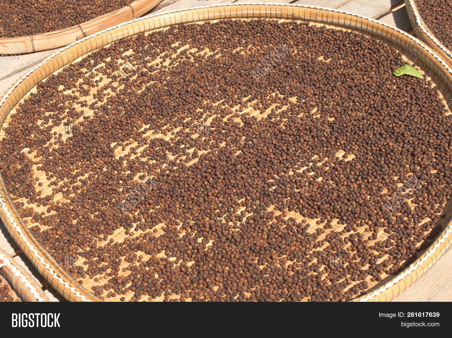 Grains Black Pepper Image & Photo (Free Trial) | Bigstock