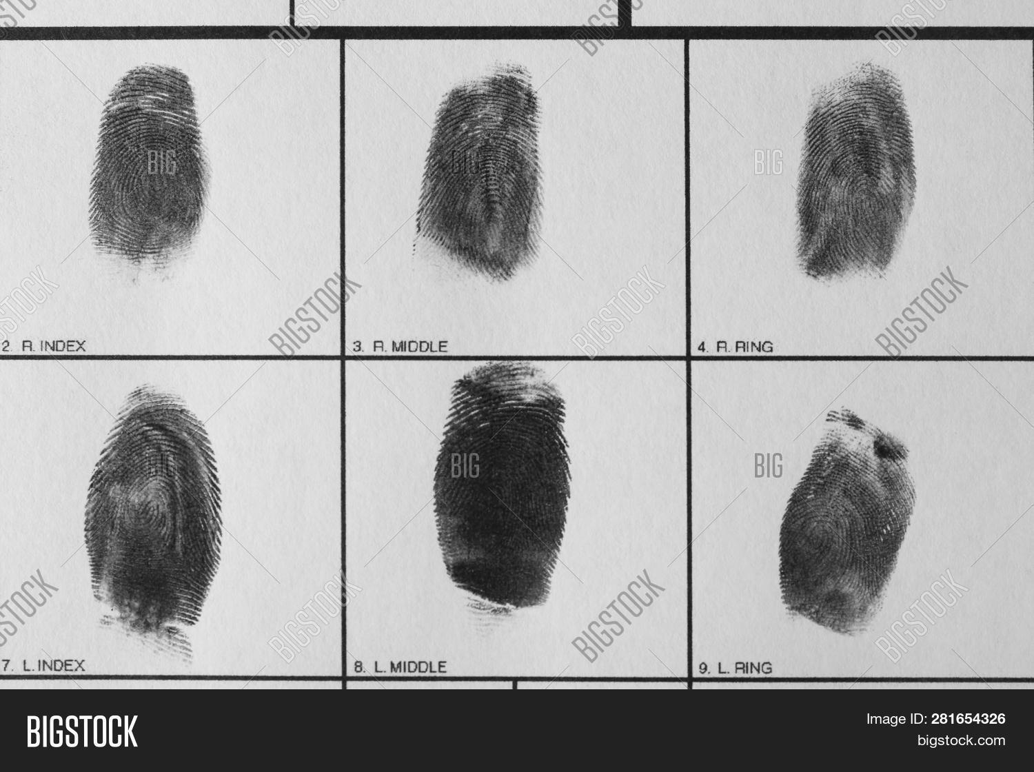 Police Form Image & Photo (Free Trial) | Bigstock