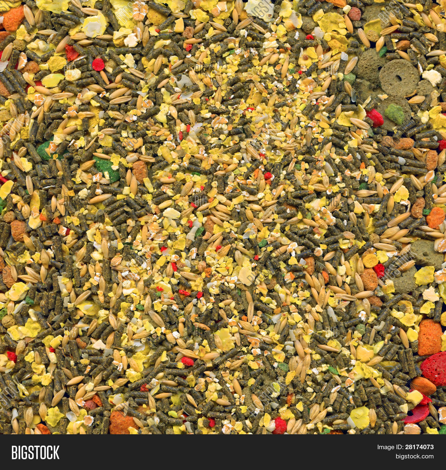 Texture Mixture Rodent Image & Photo (Free Trial) | Bigstock