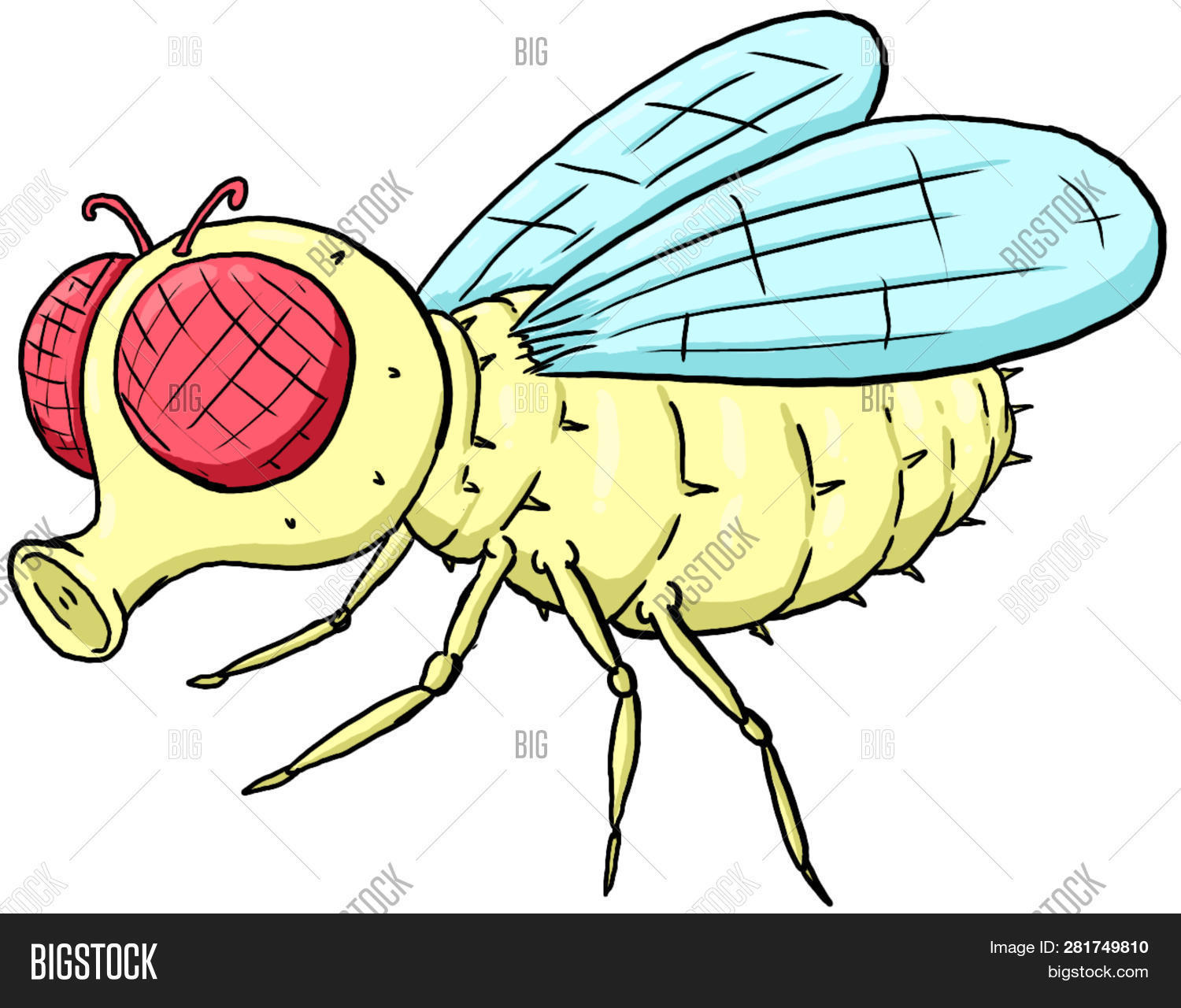 Illustration Cute Fly Image & Photo (Free Trial) | Bigstock