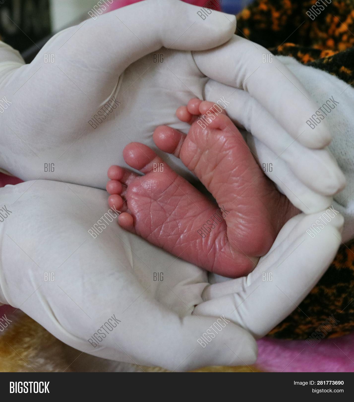 Gloved Hands Holding Image & Photo (Free Trial) | Bigstock