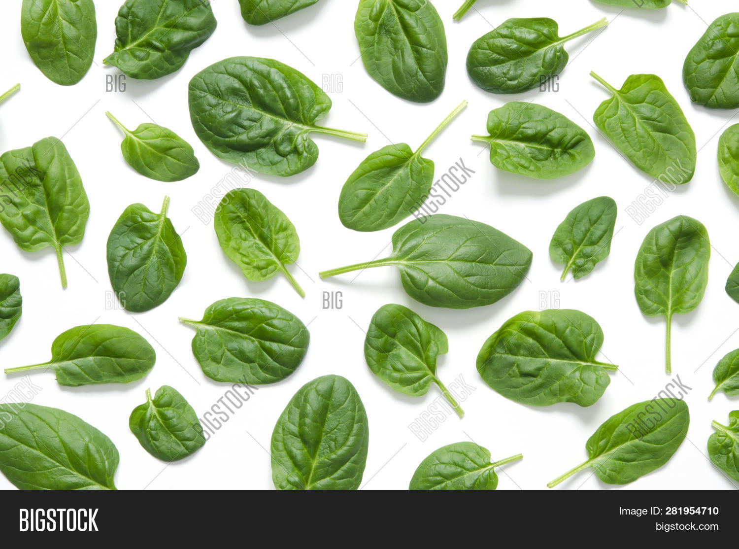 Spinach Leaves. Fresh Image & Photo (Free Trial) | Bigstock