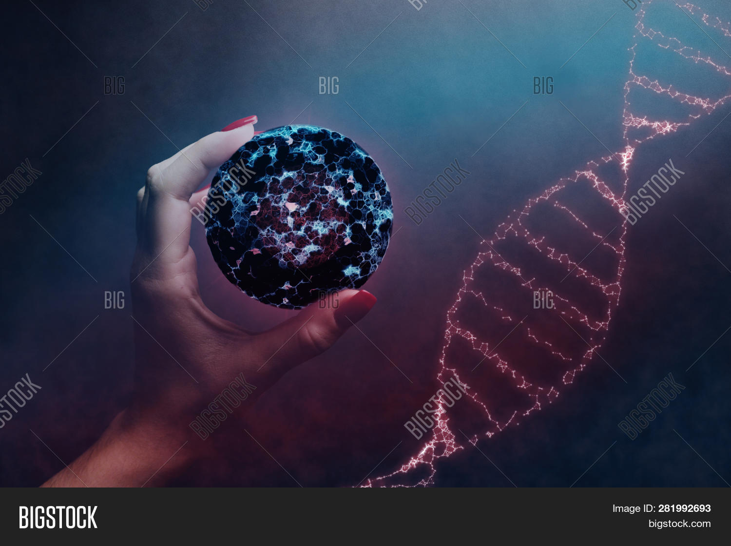 Human Hand Holding Image & Photo (Free Trial) | Bigstock