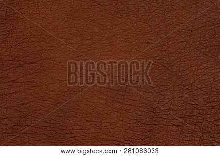 Close- Brown Leather Image & Photo (Free Trial) | Bigstock