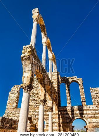 Gerrha Images, Illustrations & Vectors (Free) - Bigstock