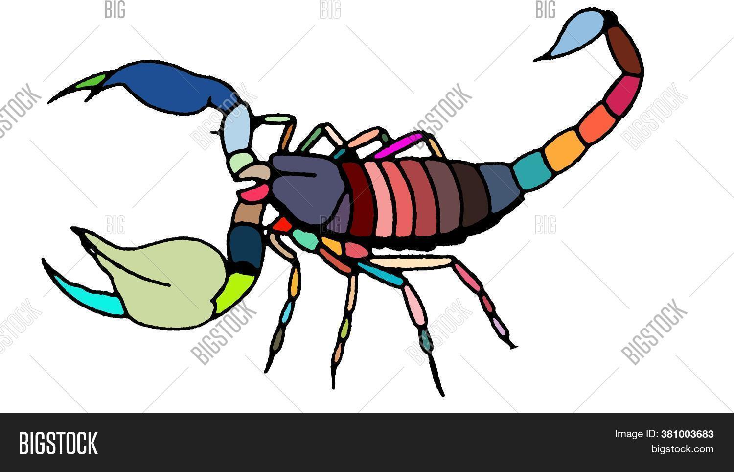 This Rainbow Scorpion Image & Photo (Free Trial) | Bigstock