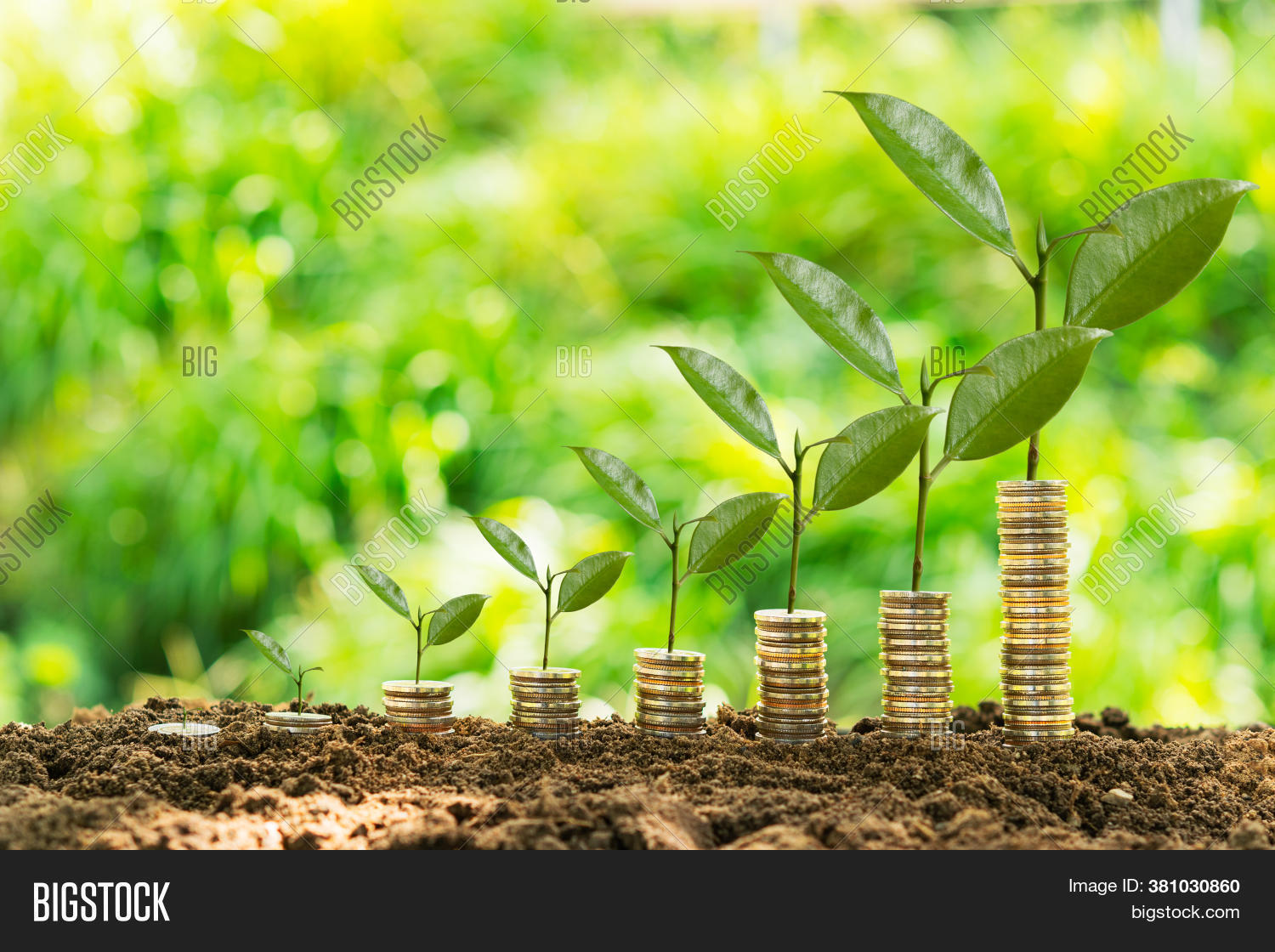 Money Growing, Stack Image & Photo (Free Trial) | Bigstock