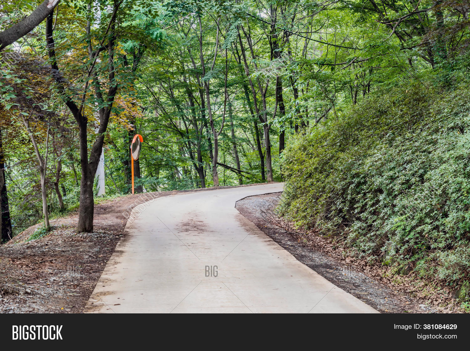 Round Traffic Mirror Image & Photo (Free Trial) | Bigstock