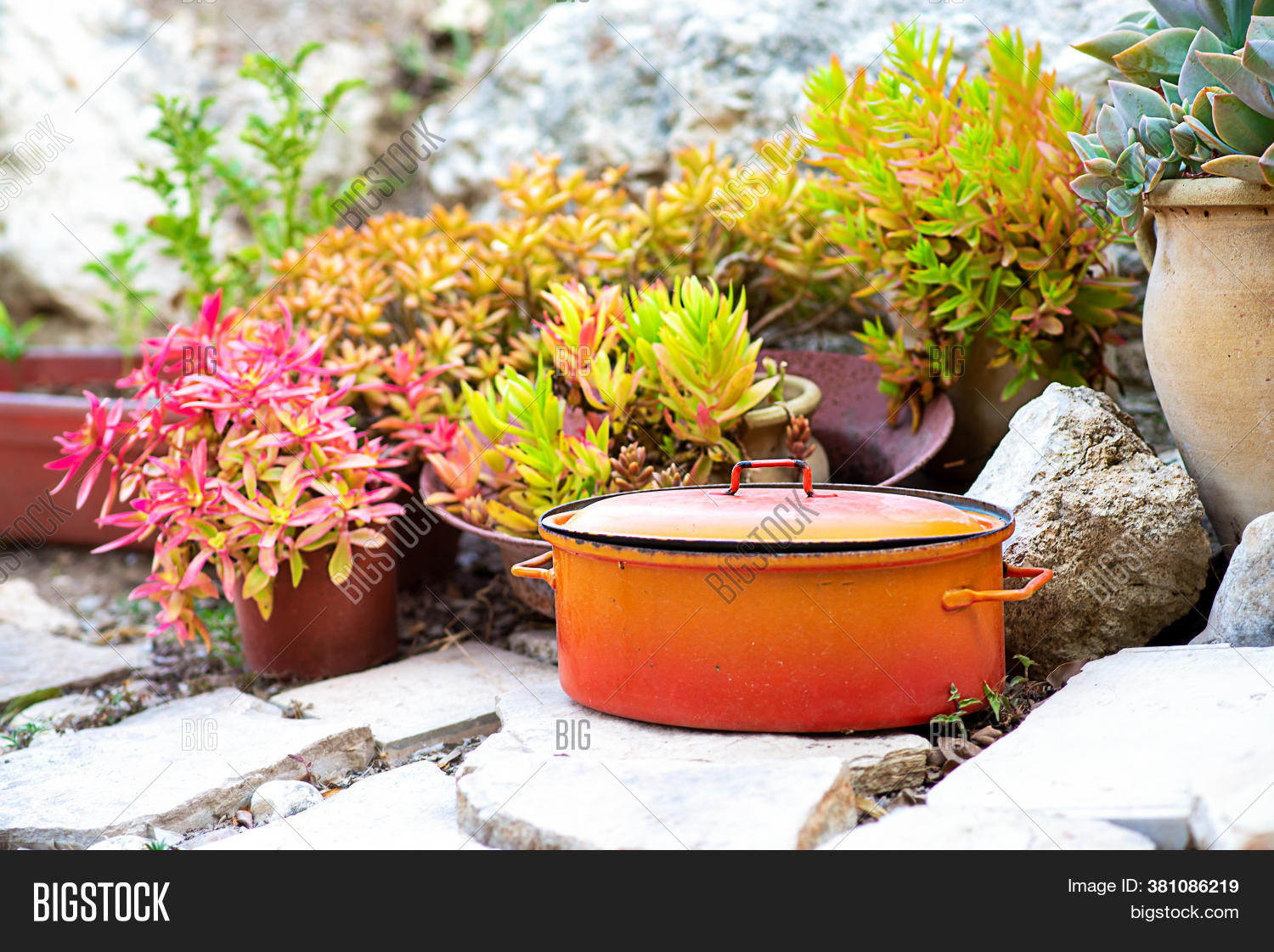 Recycled Garden Design Image & Photo (Free Trial) | Bigstock
