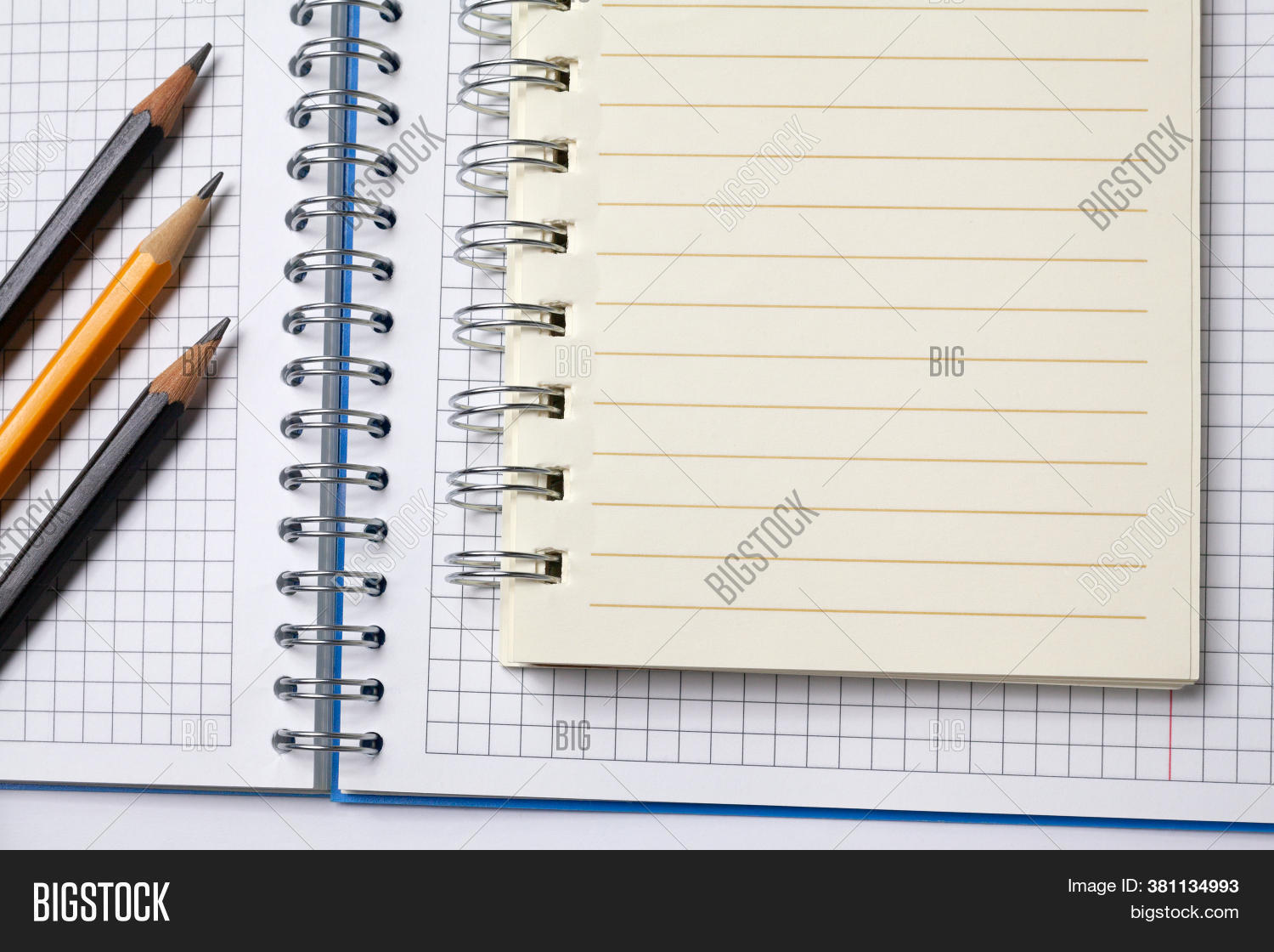 Squared Ruled Image & Photo (Free Trial) | Bigstock