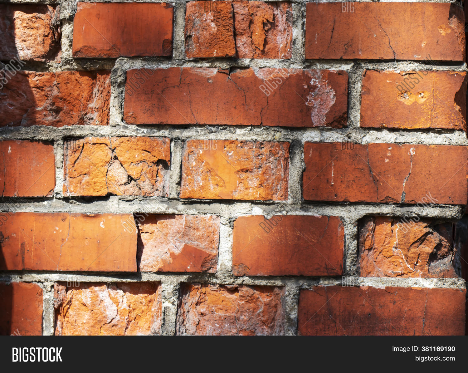 Different Backgrounds Image & Photo (Free Trial) | Bigstock