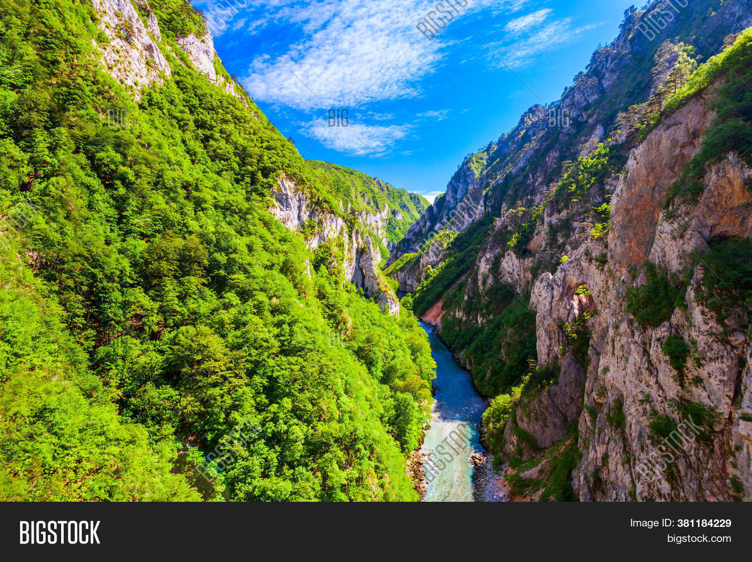 Ladies Of The Tara Canyon