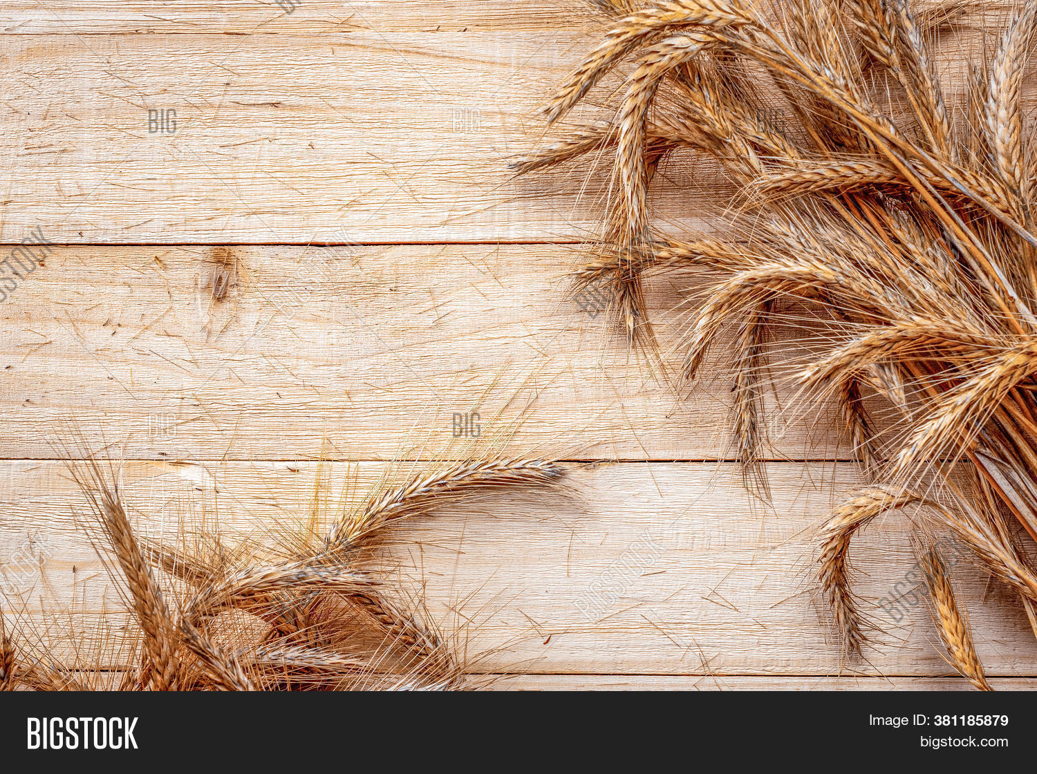 Barley Grain. Whole, Image & Photo (Free Trial) | Bigstock