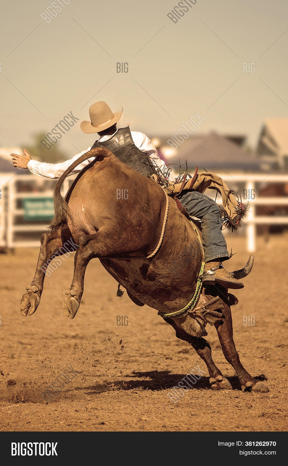Cowboy Riding Bucking Image & Photo (Free Trial) | Bigstock