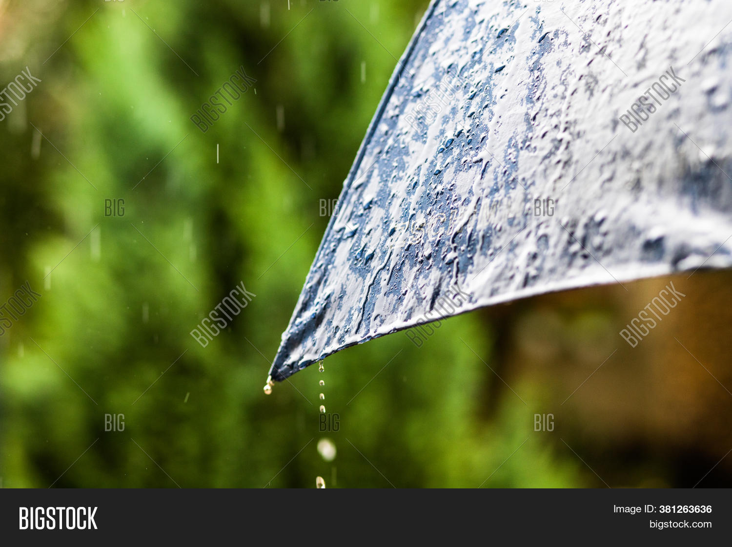 Rain Falling On Image & Photo (Free Trial) | Bigstock
