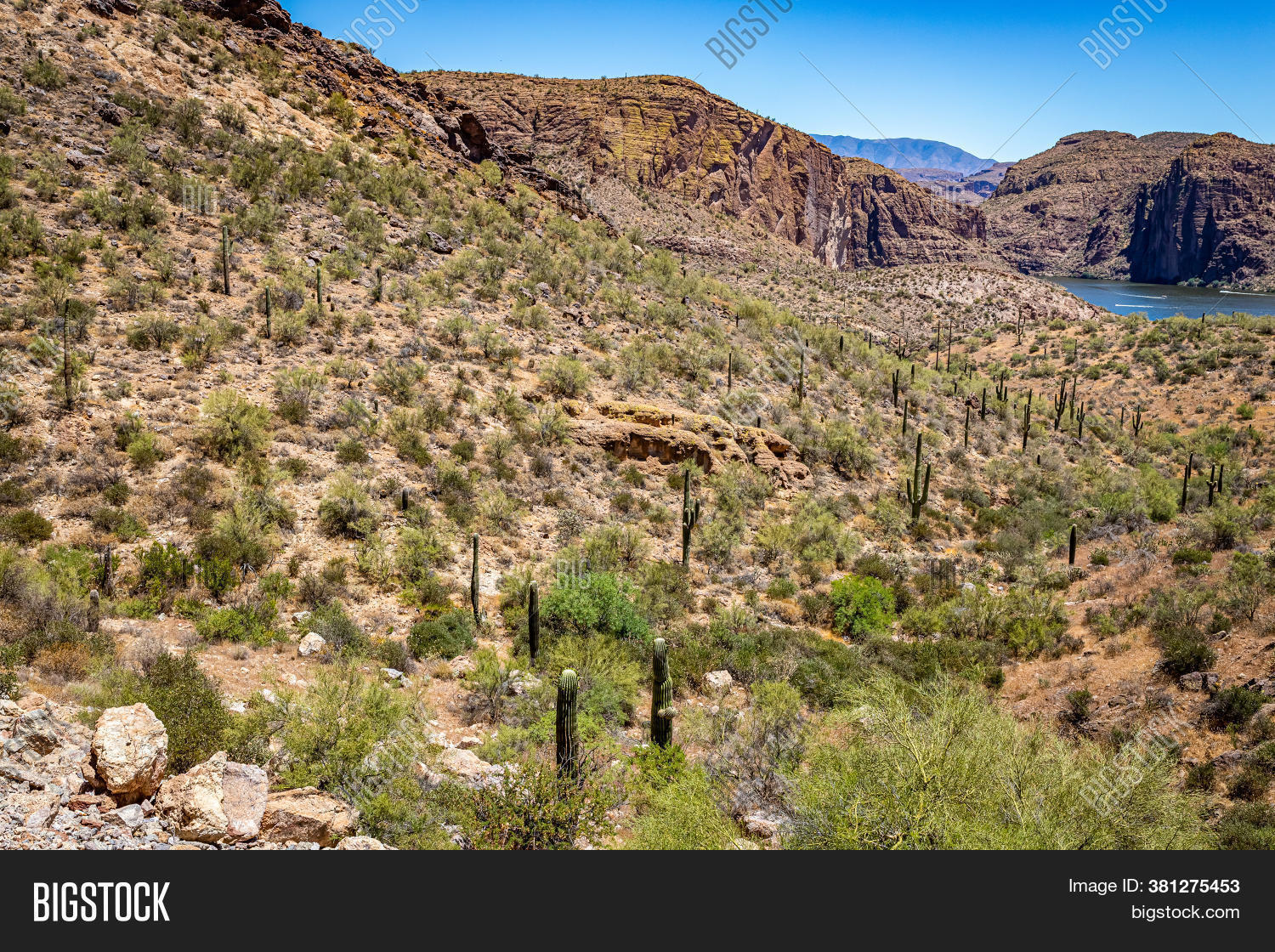 Desert Views Along Image & Photo (Free Trial) | Bigstock