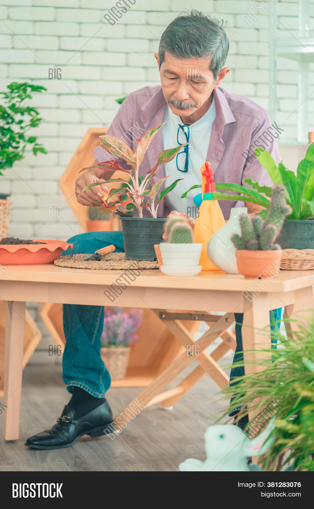 Senior Retired Man Image & Photo (Free Trial) | Bigstock
