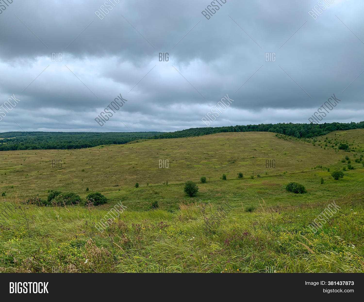 Hilly Field Forest Image & Photo (Free Trial) | Bigstock