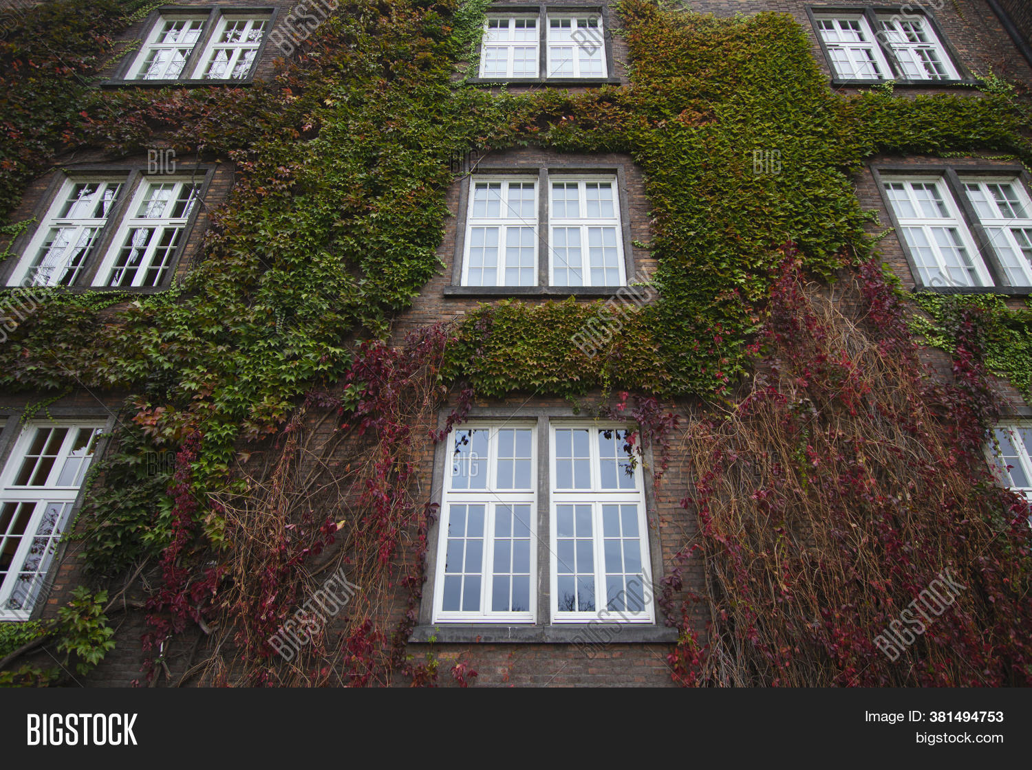 Old Building Wall Image & Photo (Free Trial) | Bigstock