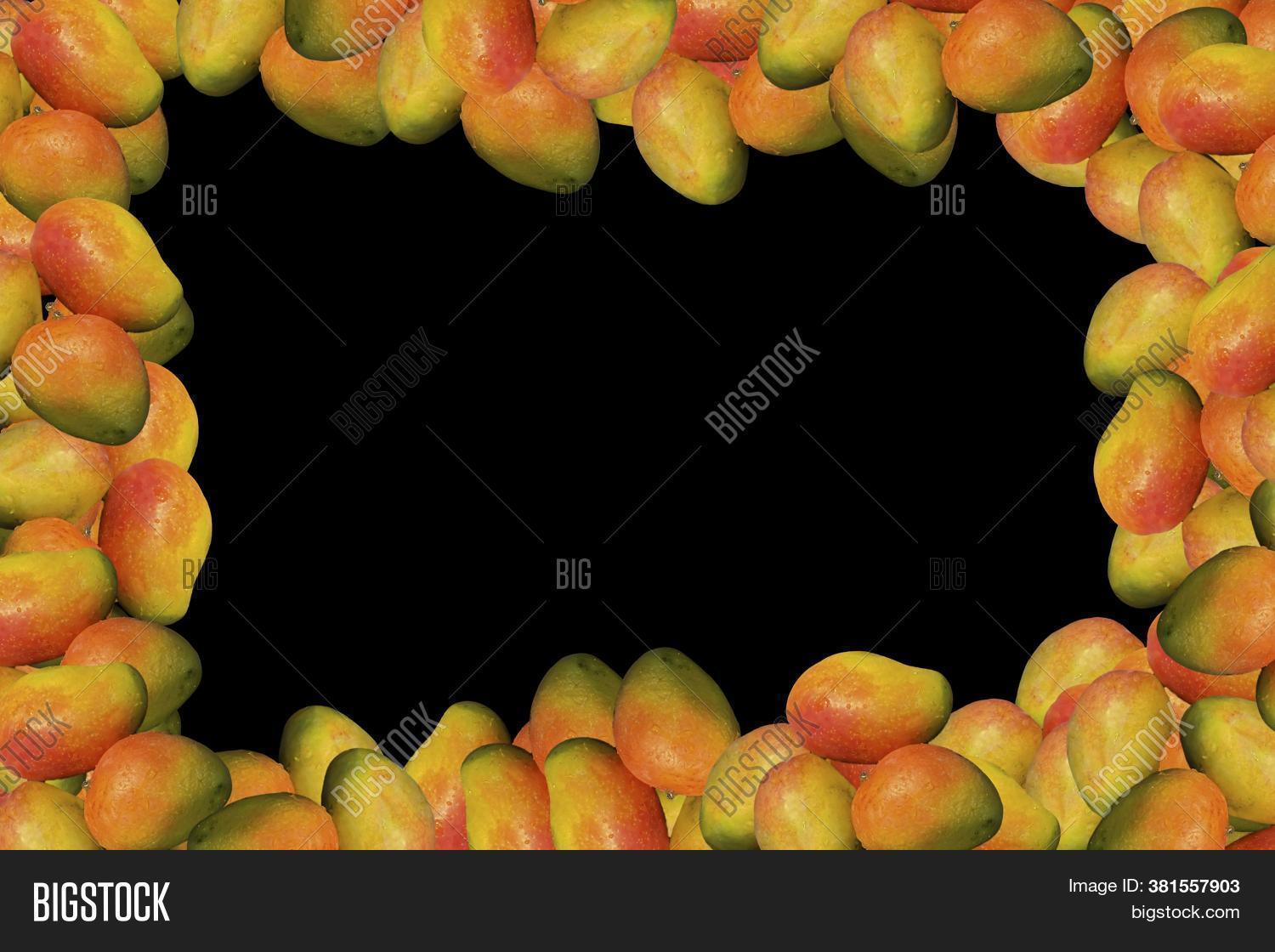 Mango Fruit Frame On Image & Photo (Free Trial) | Bigstock