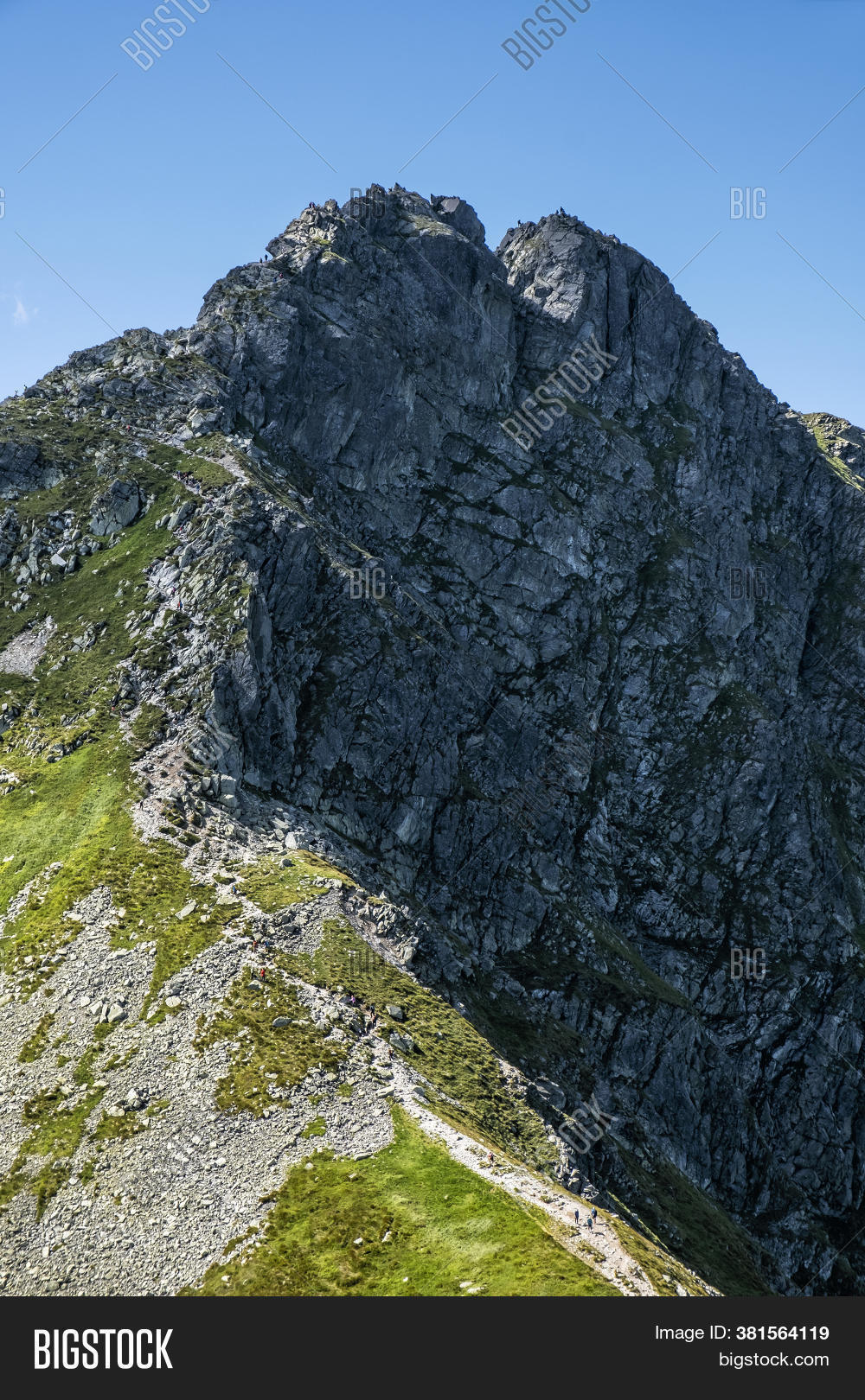 Detail Ostry Rohac Image & Photo (Free Trial) | Bigstock