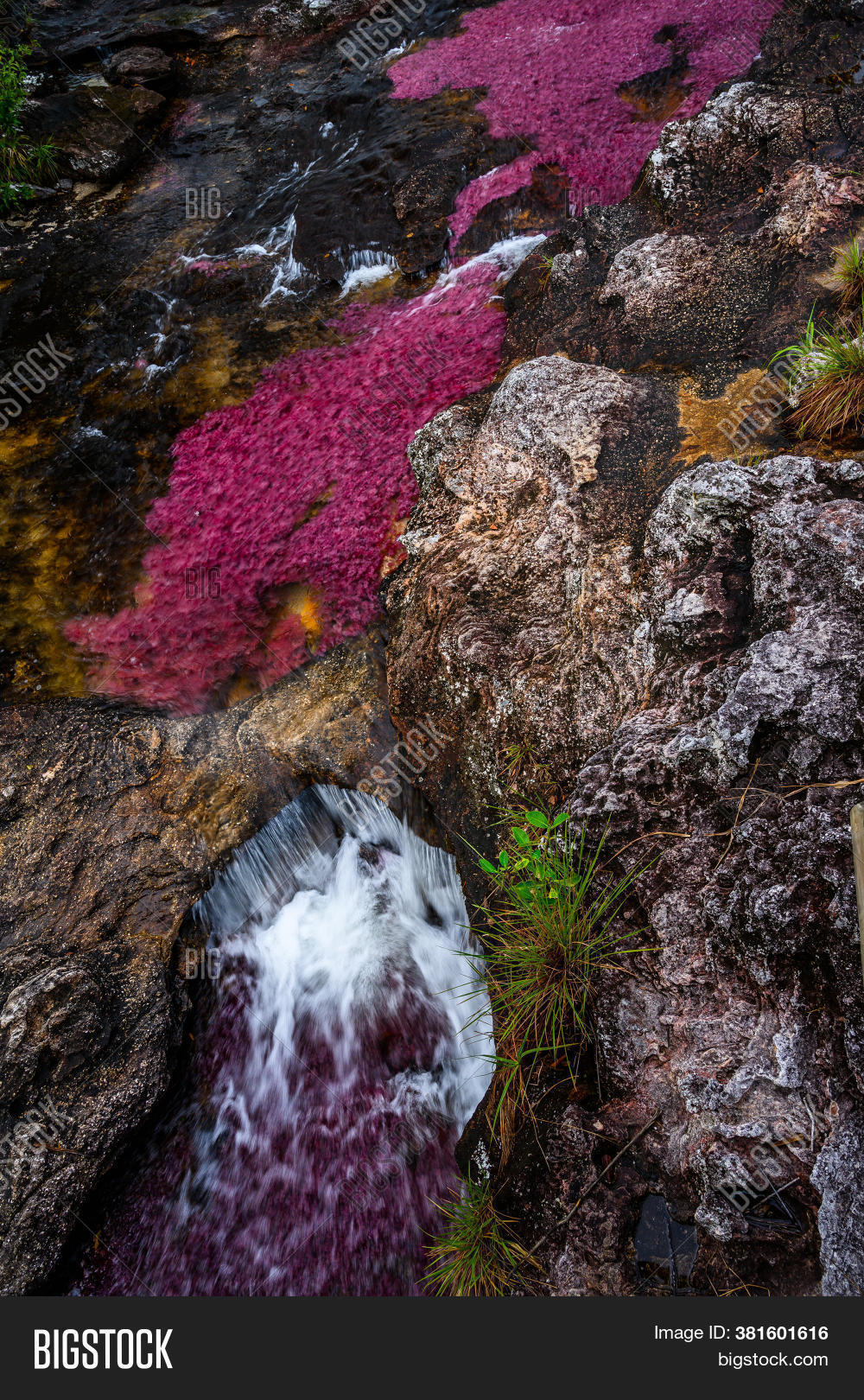 Rainbow River Five Image & Photo (Free Trial) | Bigstock