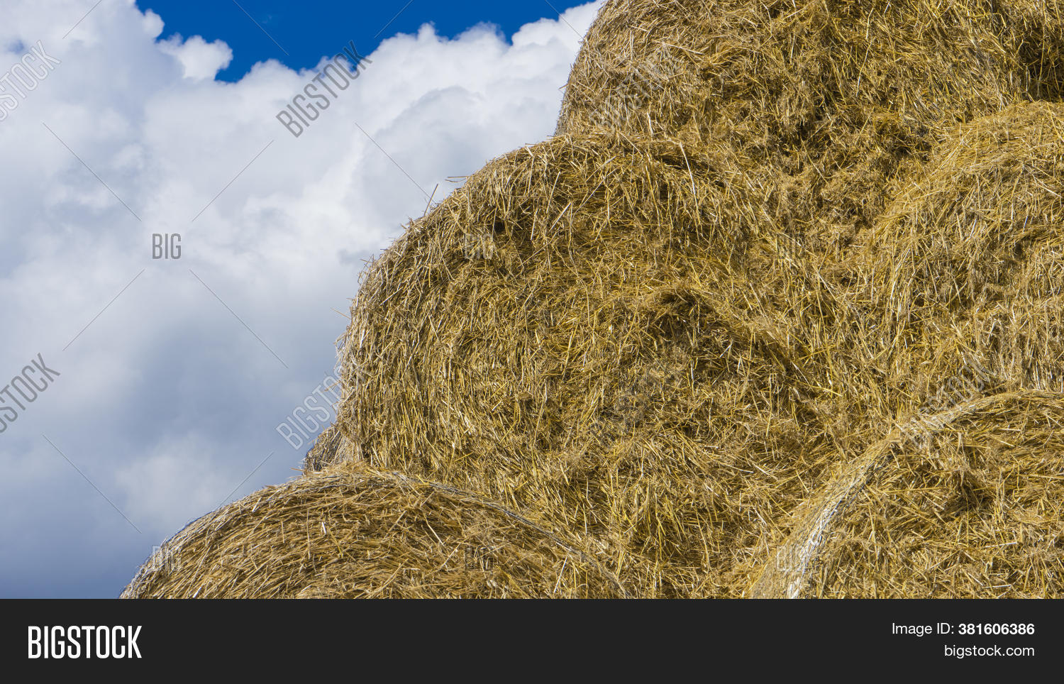 Haystack Close . Hay Image & Photo (Free Trial) | Bigstock