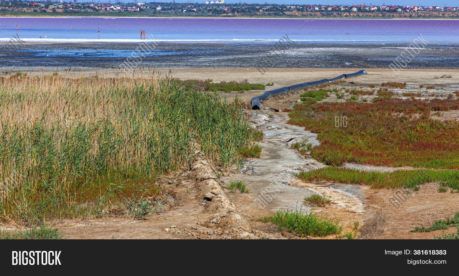 Ecological Problem Image & Photo (Free Trial) | Bigstock