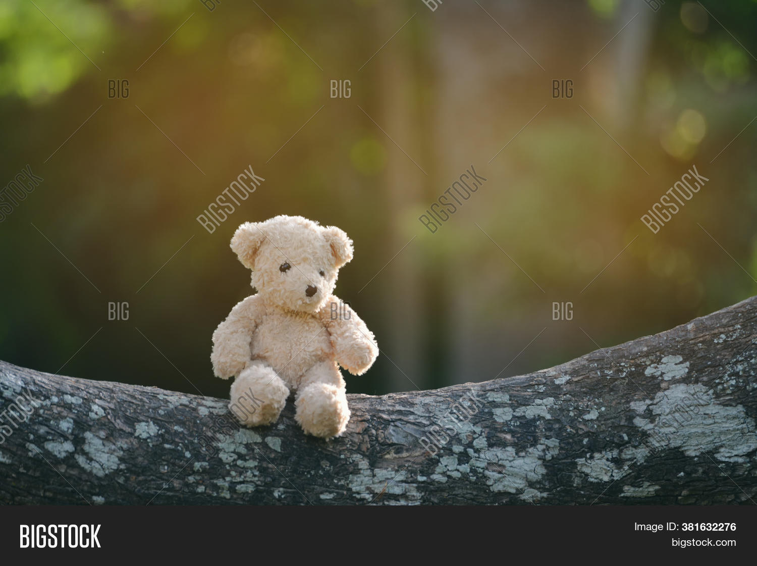 Alone Teddy Bear Image & Photo (Free Trial) | Bigstock