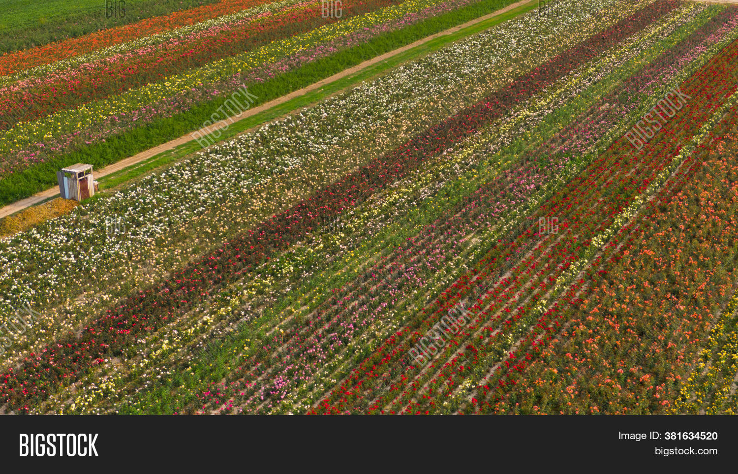 Aerial View Colorful Image & Photo (Free Trial) | Bigstock