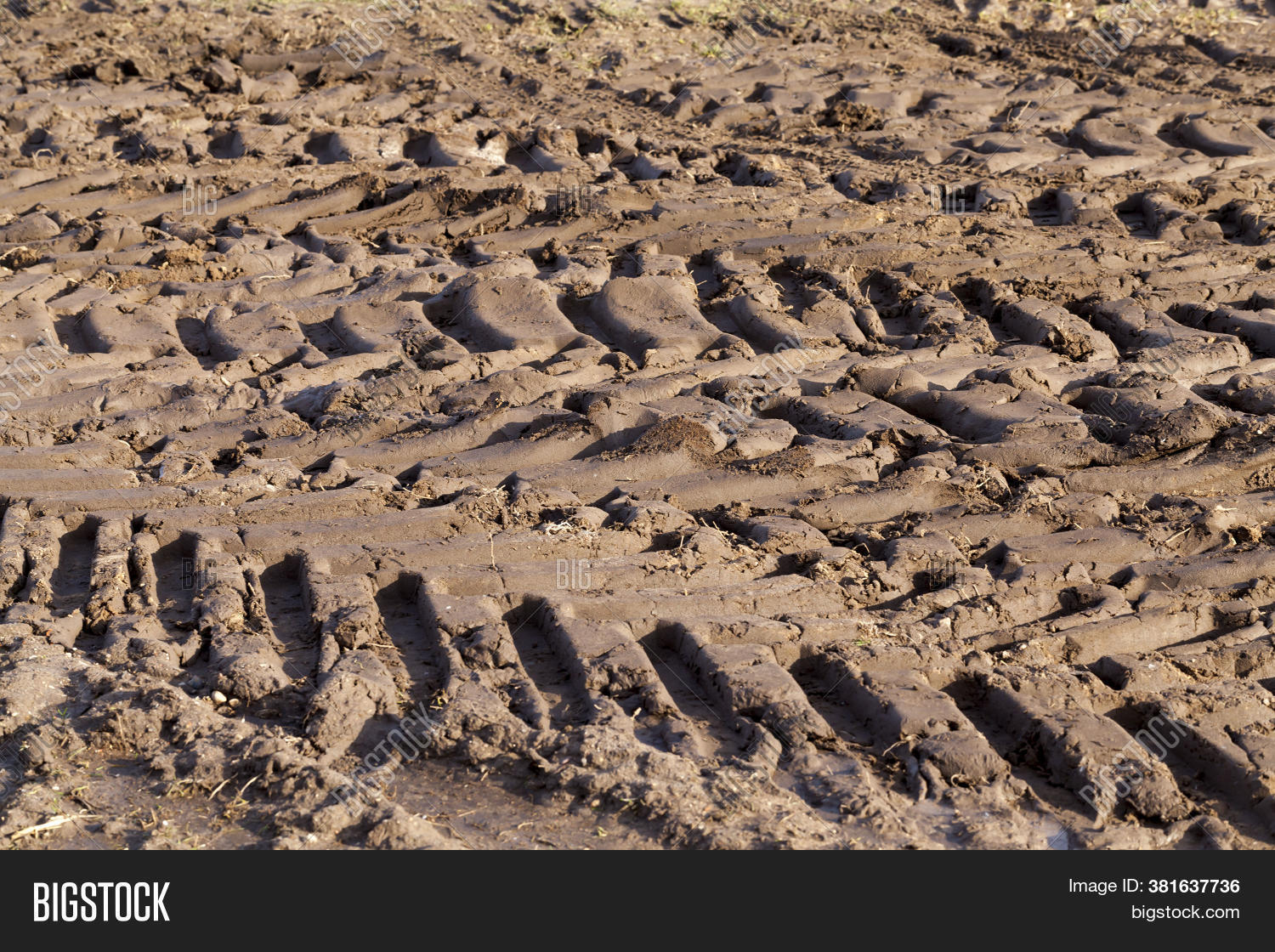 Close- Rural Sand Road Image & Photo (Free Trial) | Bigstock