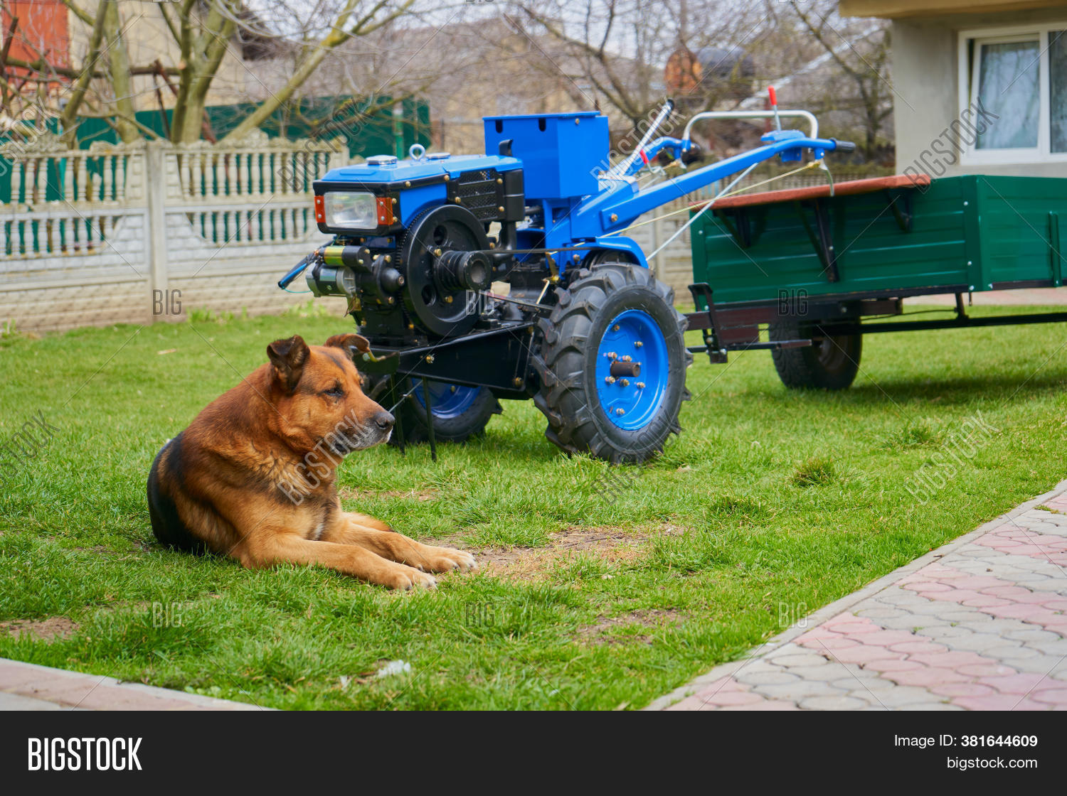 Dog Tractor, Dog Image & Photo (Free Trial) | Bigstock
