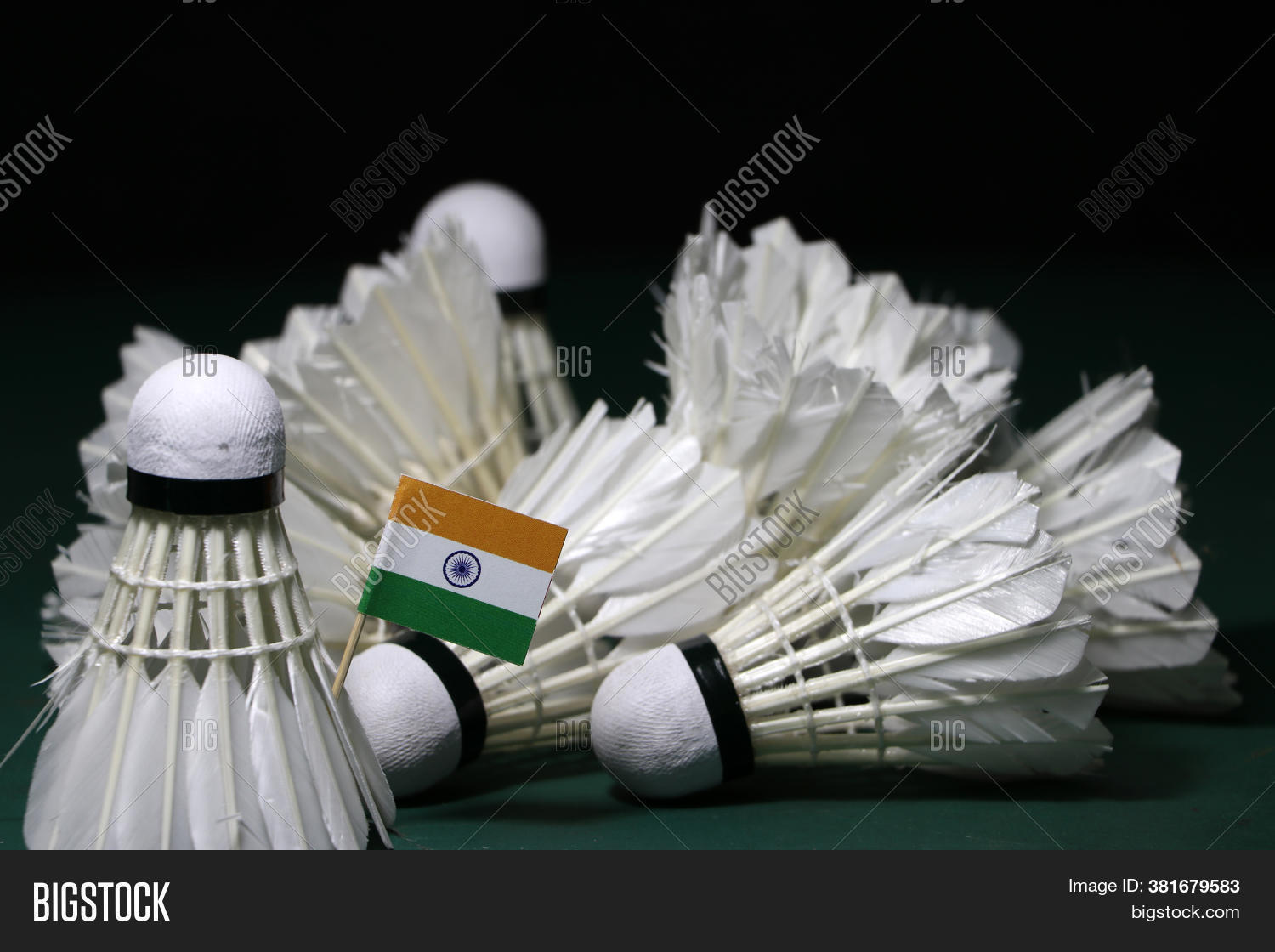 Mini India Flag Stick Image & Photo (Free Trial) | Bigstock