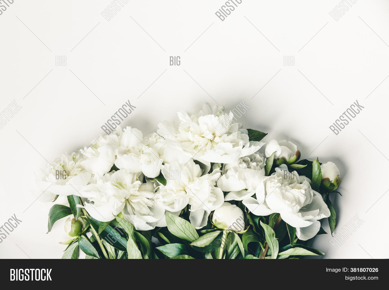Flat-lay Beautiful Image & Photo (Free Trial) | Bigstock