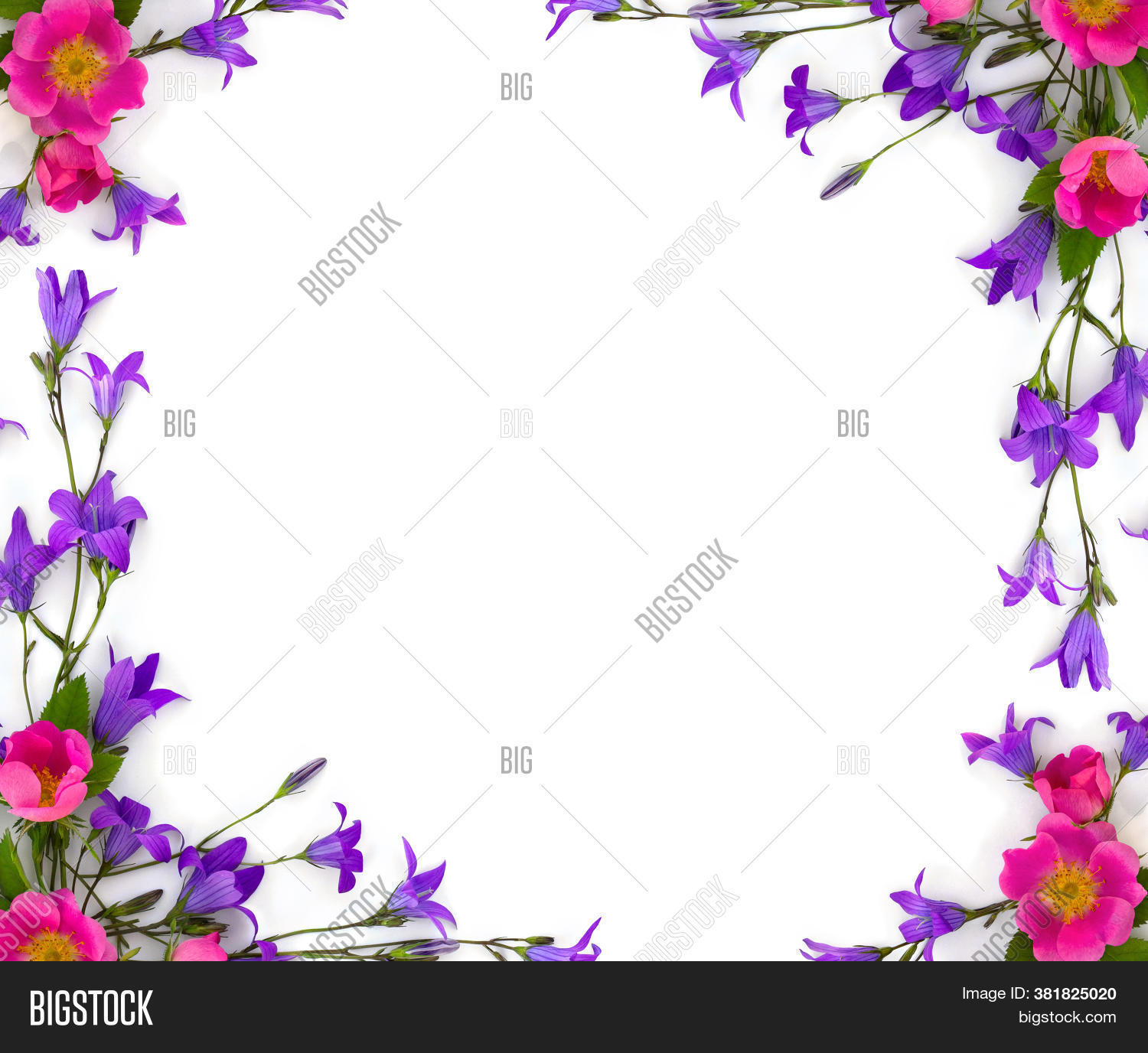 Frame Violet Blue Image & Photo (Free Trial) | Bigstock