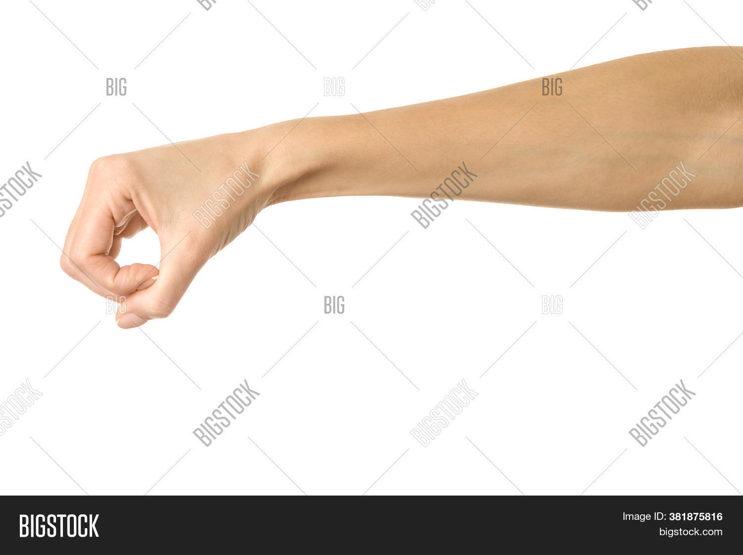 Hand Picking, Holding Image & Photo (Free Trial) | Bigstock