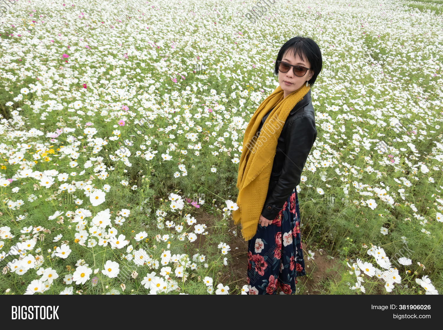 Modern Asian Woman Image & Photo (Free Trial) | Bigstock