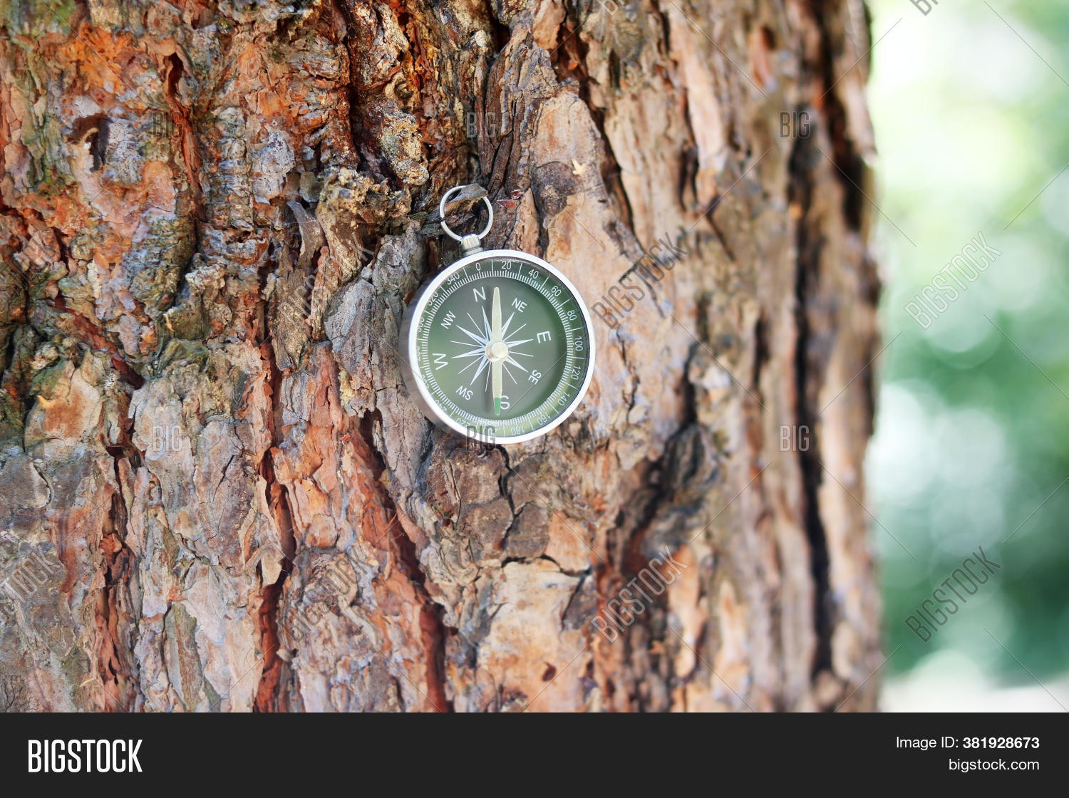 Round Compass On Image & Photo (Free Trial) | Bigstock